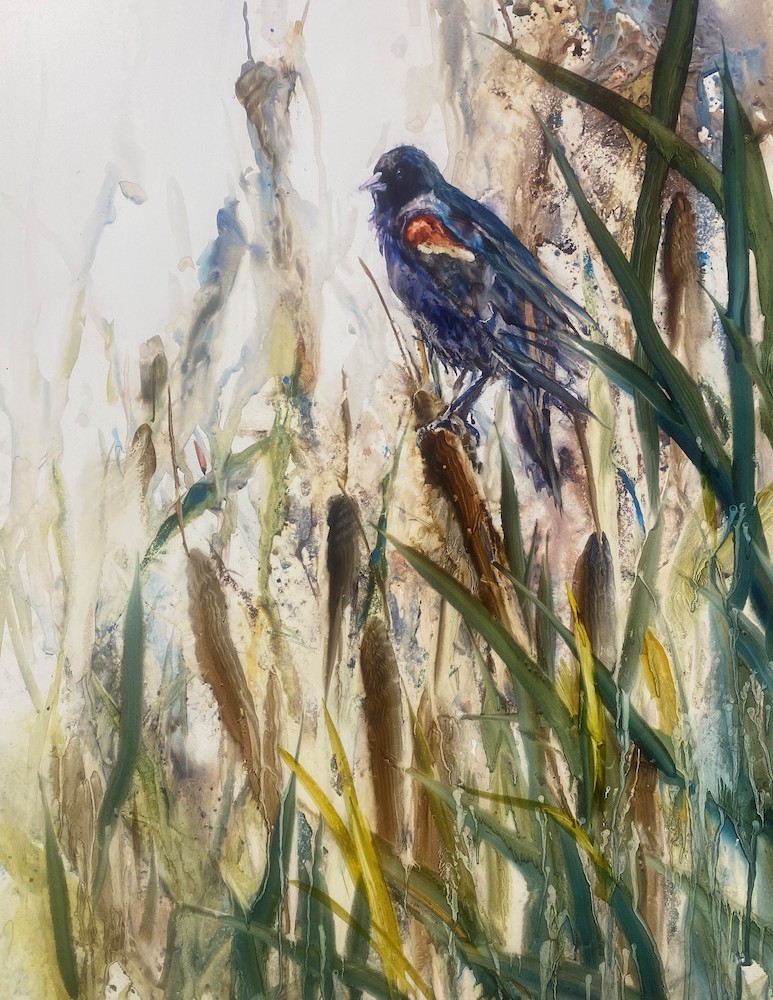 Shop - Brown County Art Guild