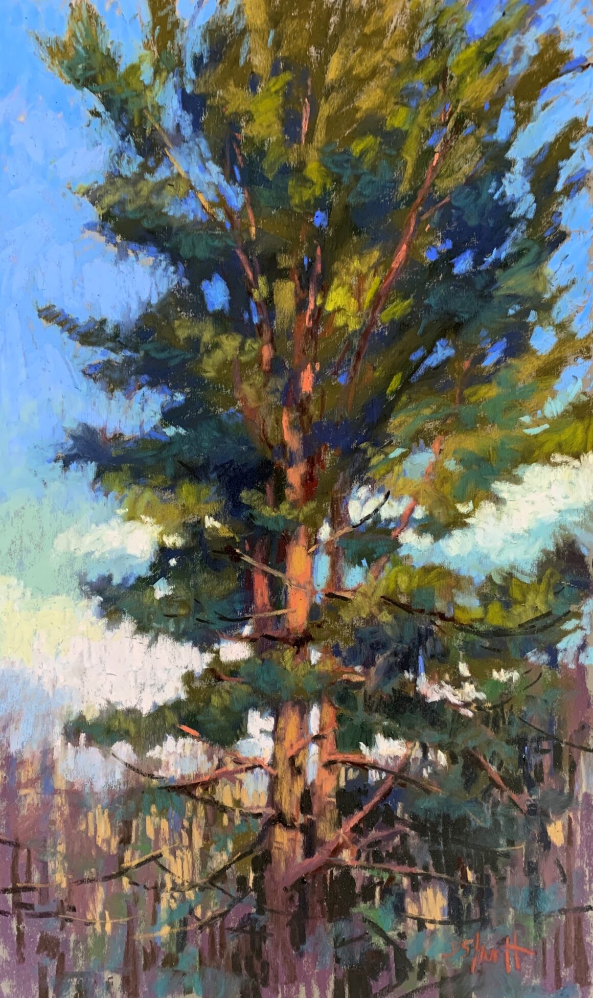Shop - Brown County Art Guild